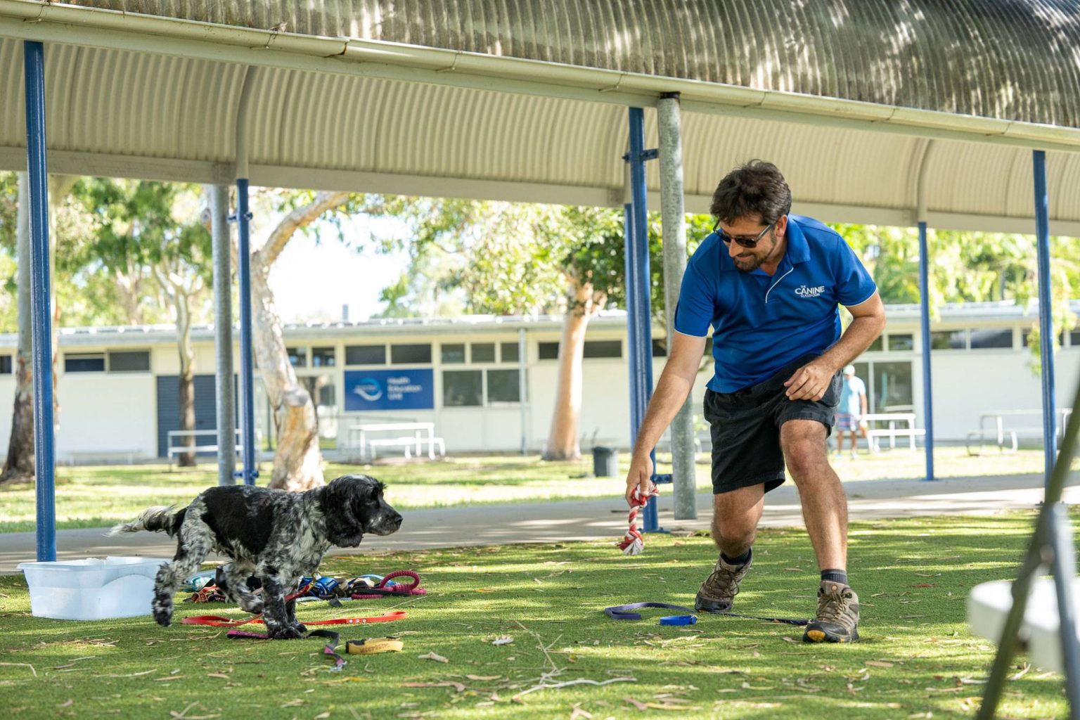 Puppy Training Brisbane | The Canine Classroom