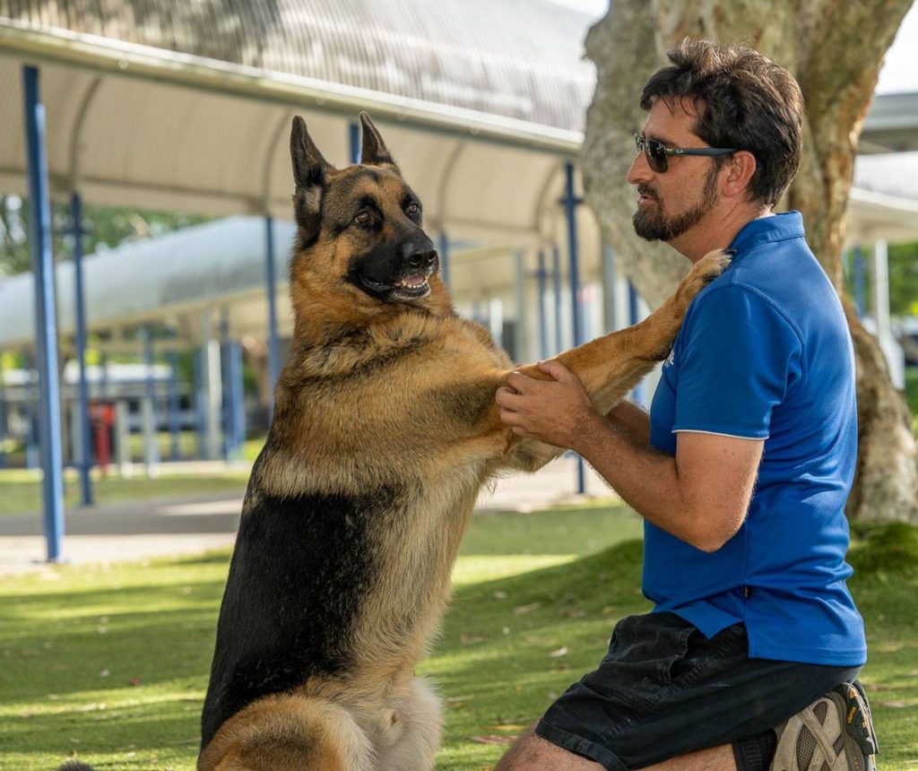 Dog Training Boarding School | The Canine Classroom